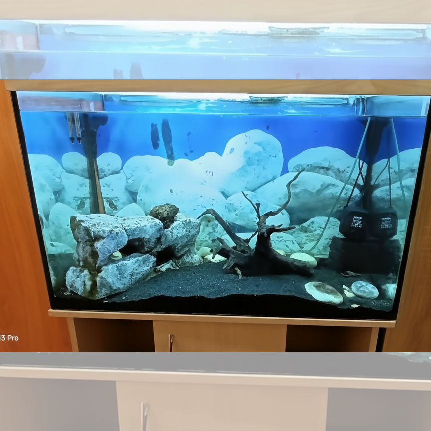 Аквариум с тумбой и светом