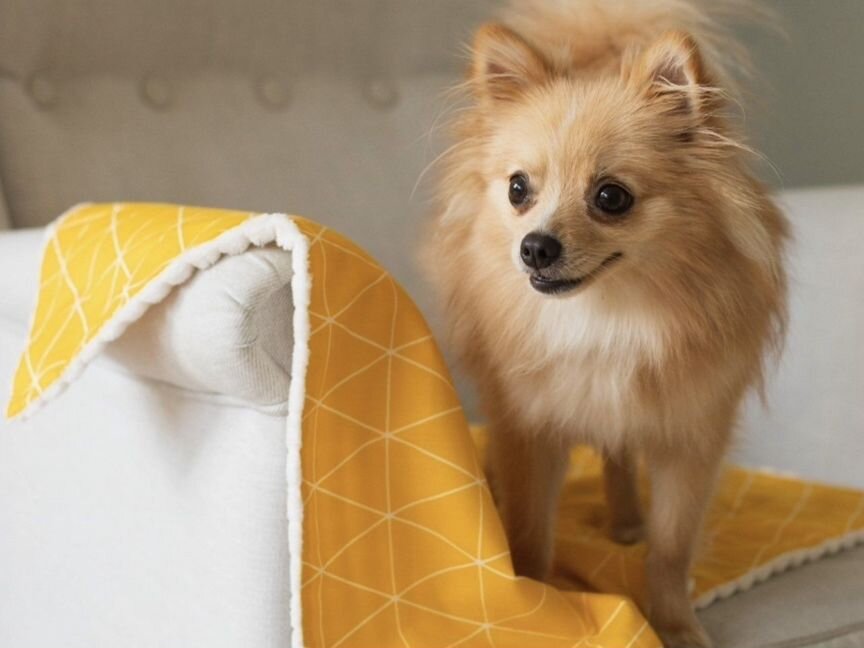 Плед для животных новый