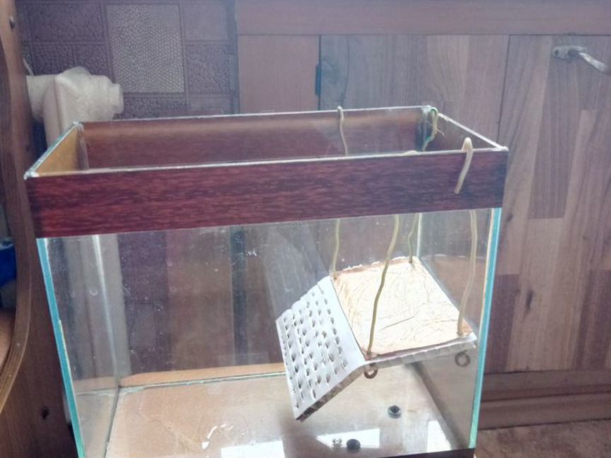 Аквариум для черепах