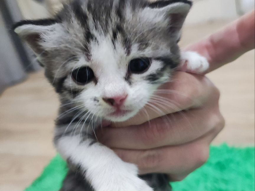 Маленькие кнопочки в добрые руки