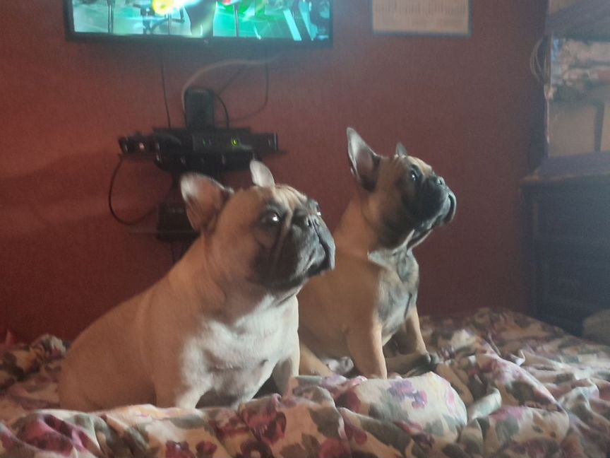 Шикарный ещё не мужчина, но уже не мальчик