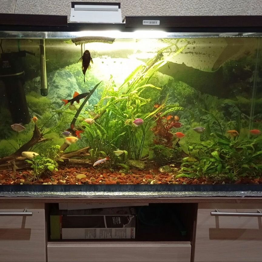 Аквариум с рыбками