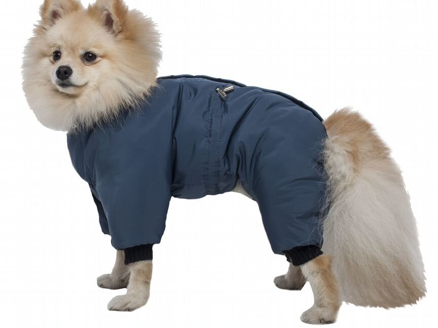 Одежда G.K.dog комбинезон с вязаными манжетами на