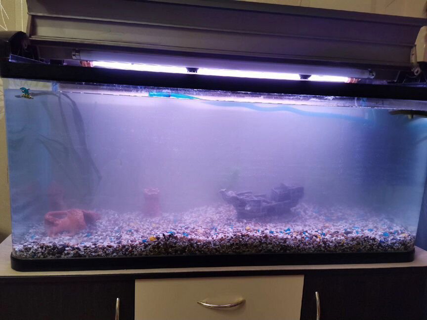 Аквариум без тумбы qinlang hr-1200f