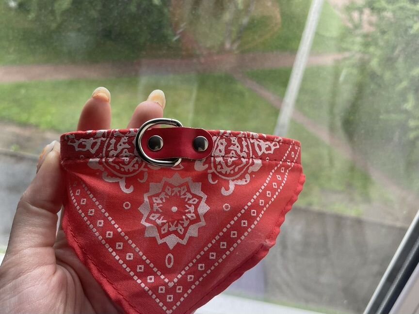 Ошейник для собак