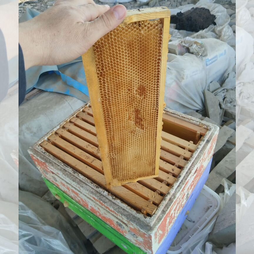 Сушь для пчел 40шт