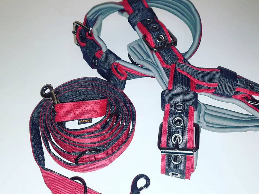 Шлейка для собаки coradog