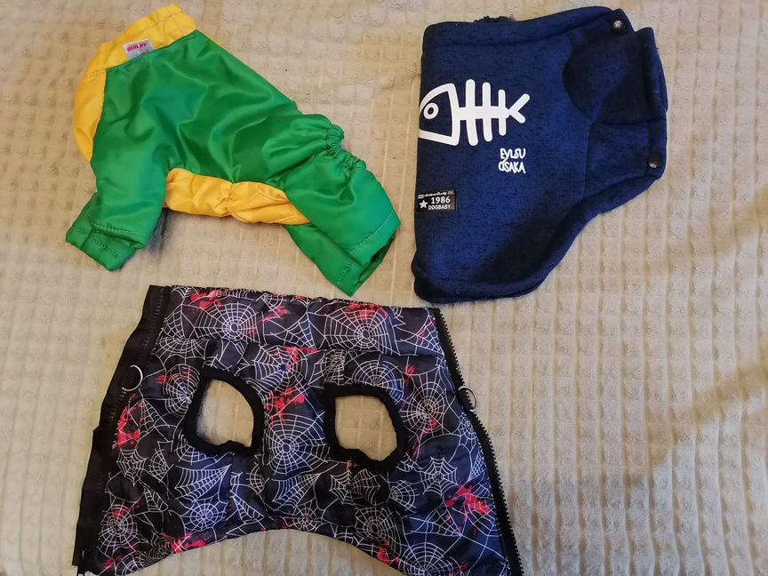 Вещи для маленькой собаки или кота