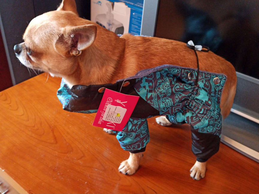 Костюмчик для щенка