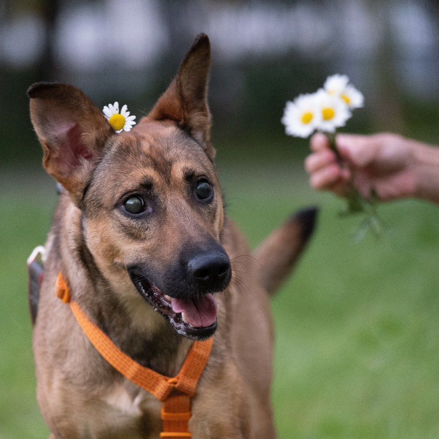 Особенная Мэри хочет домой