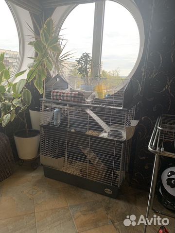 Клетка для кролика ferplast barn double 100 купить в Санкт-Петербурге ...