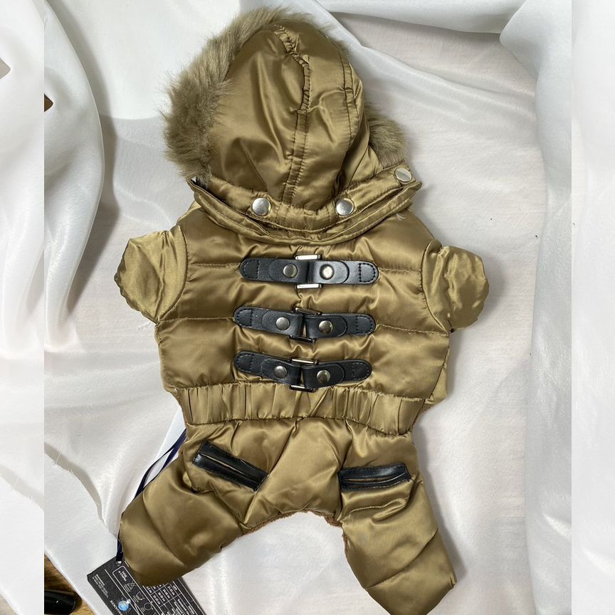 Одежда для собак