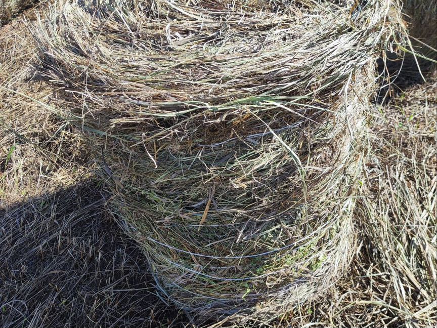 Сено в мини рулонах 70х80 см