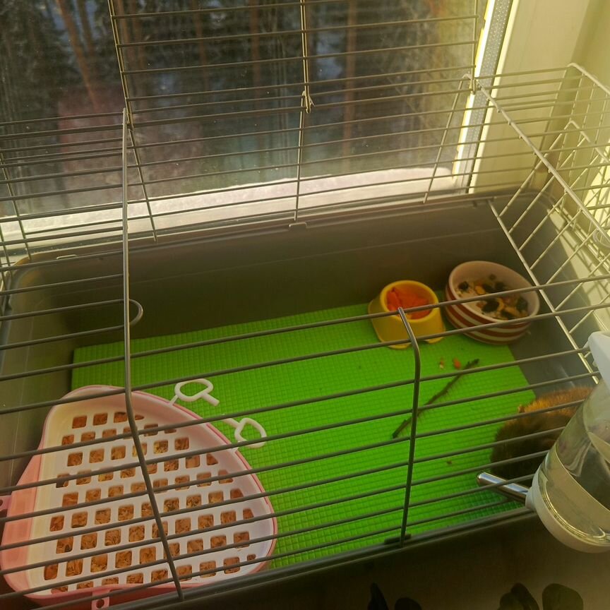 Клетка для грызуна с туалетом, поилкой. Новая