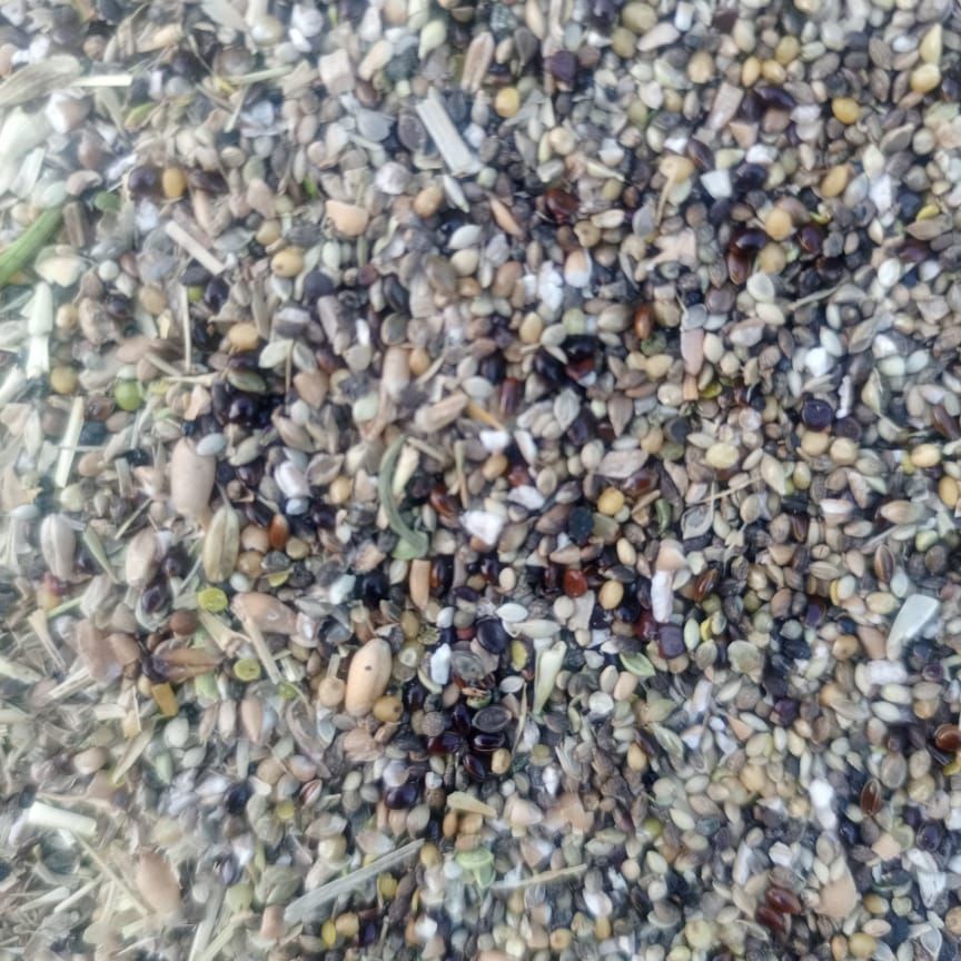 Зерно отходы