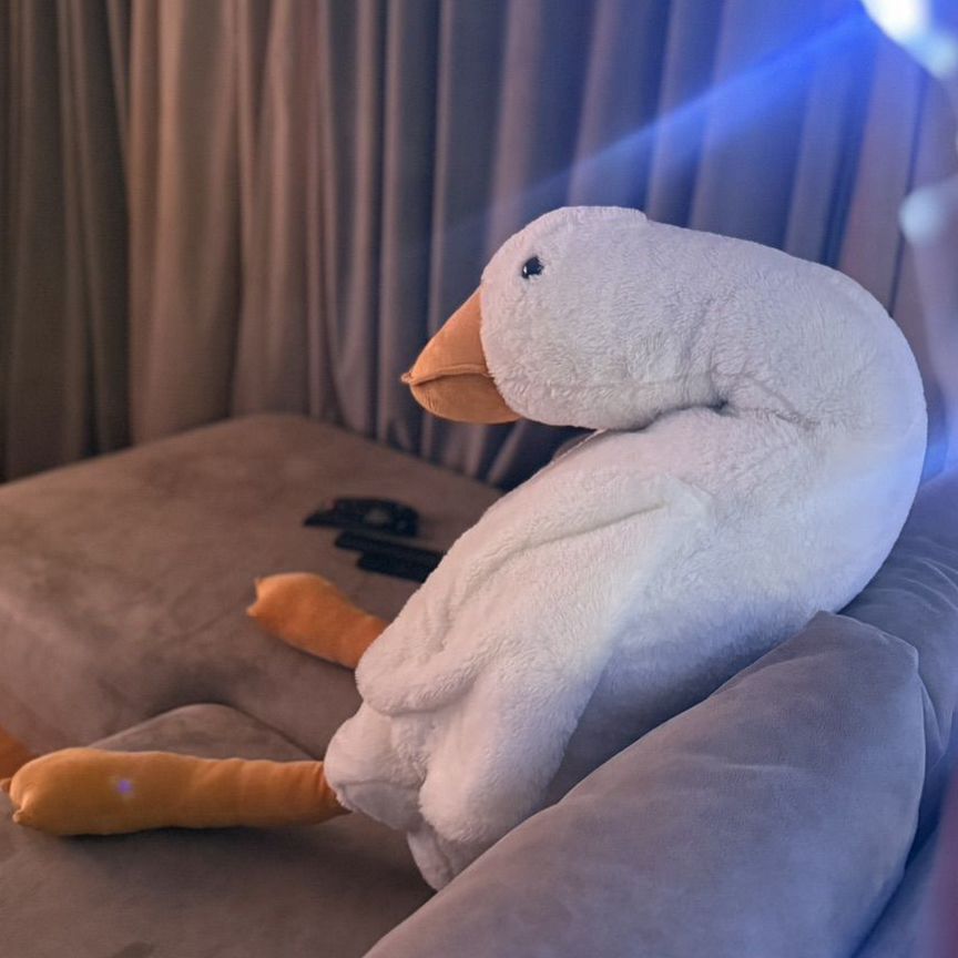 Гусь обнимусь