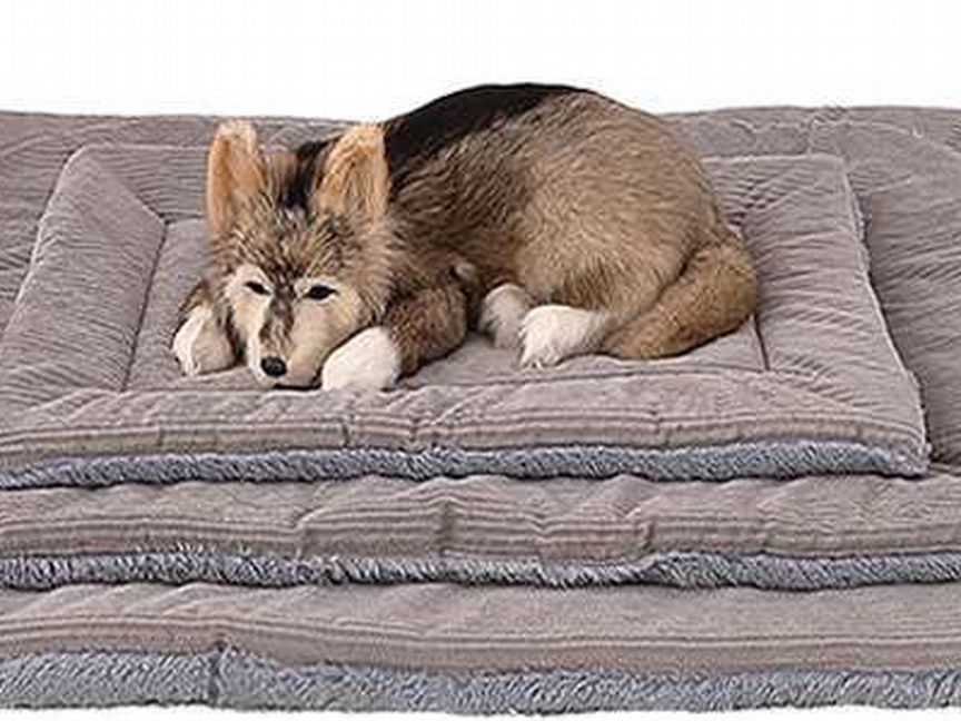 Лежак, лежанка, матрас для собак