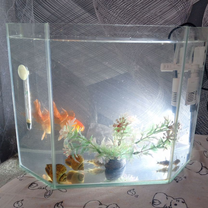 Аквариум с рыбками