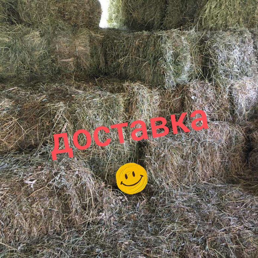 Сено доставка