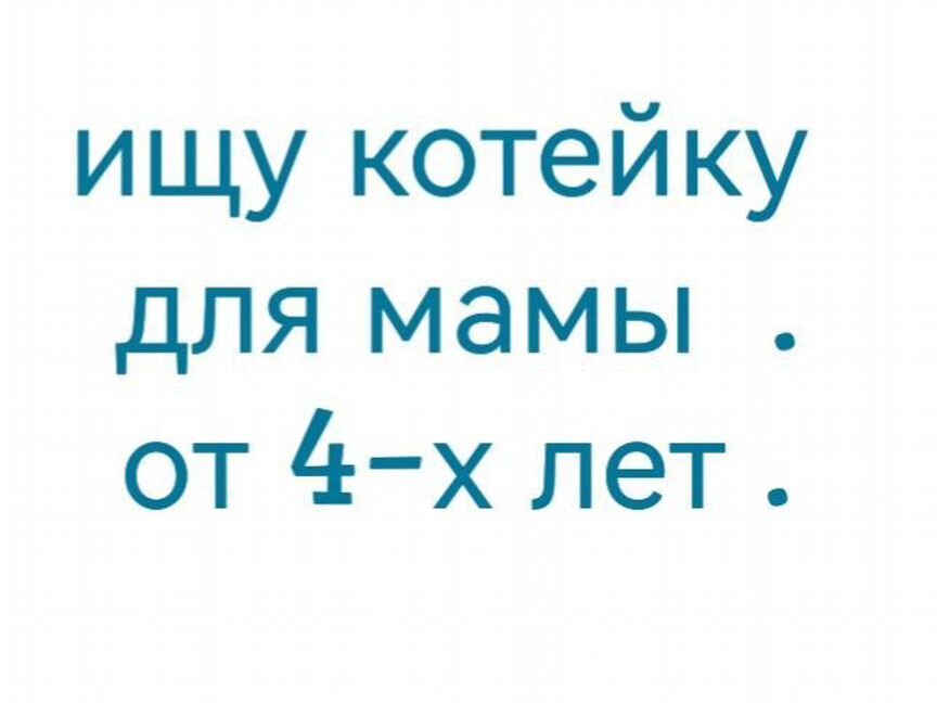 Ищу котейку домой