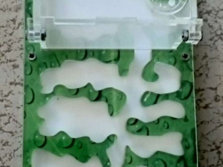 Формикарий