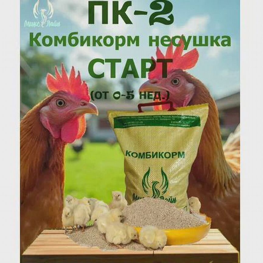 Комбикорм Сельхозпродукт пк-1-2 (несушки в