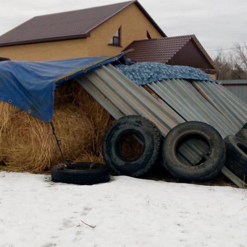 Сено Суданка 2 укос мелкая