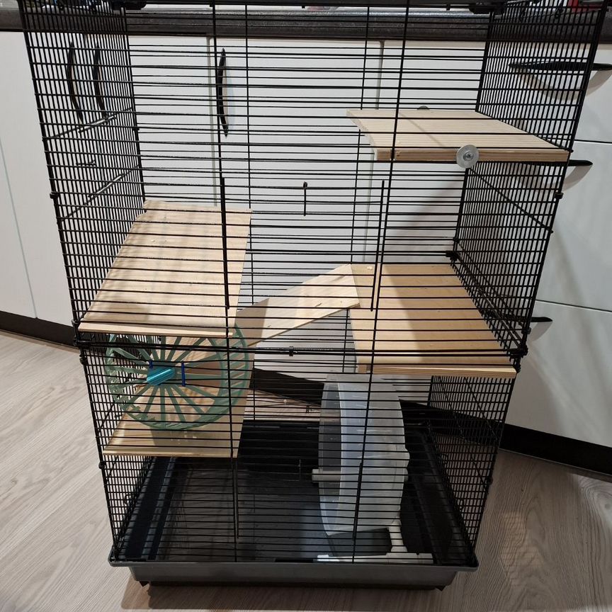 Большая клетка