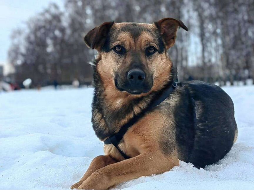 Её никто не выбирает. проходят мимо