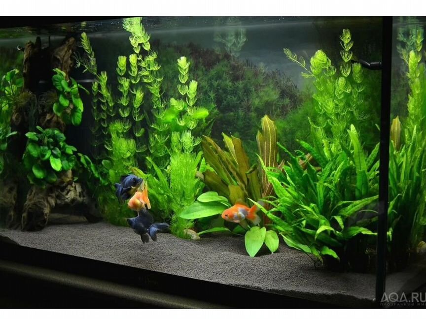 Грунт для аквариума