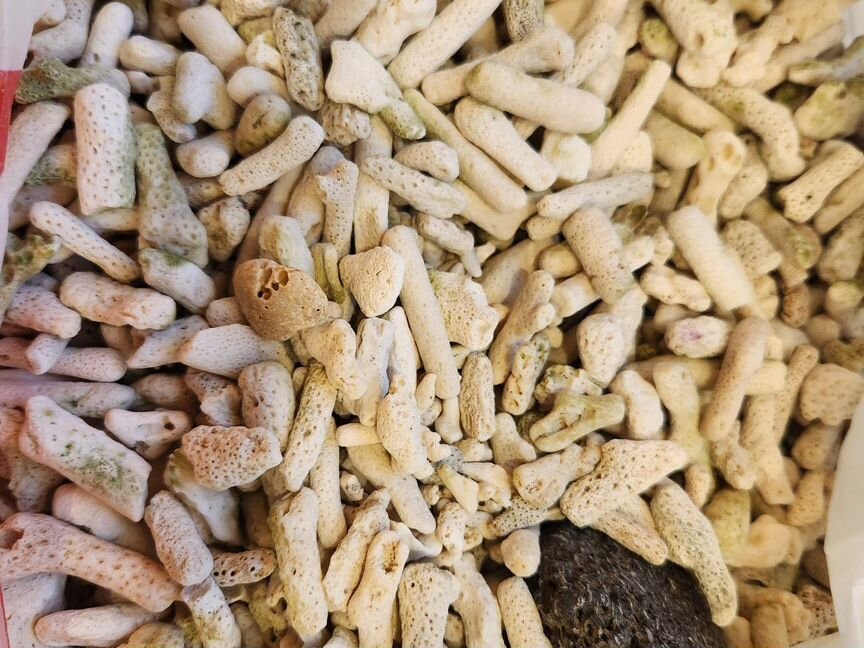 Коралловая крошка