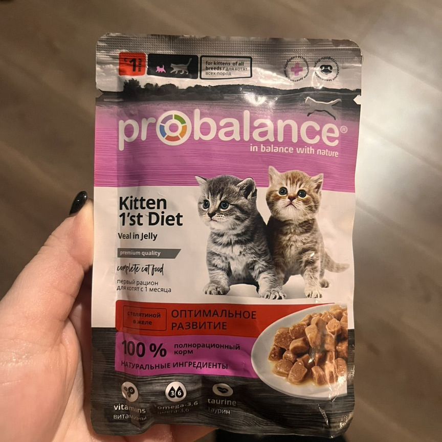 Влажный корм для котят