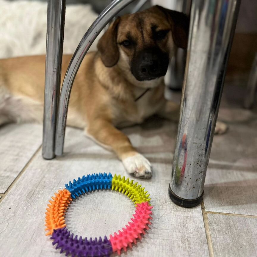 Сонечка мелкаш