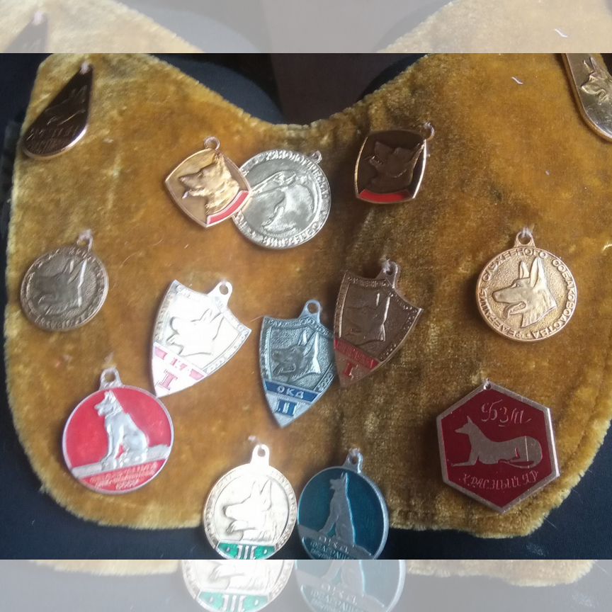 Продам ордена для собак