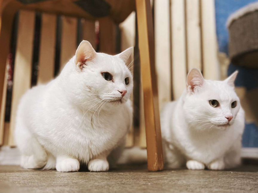 Василий и Мария