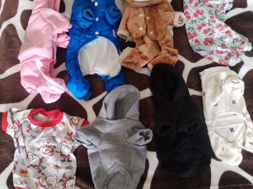 Одежда для маленьких собак б/у