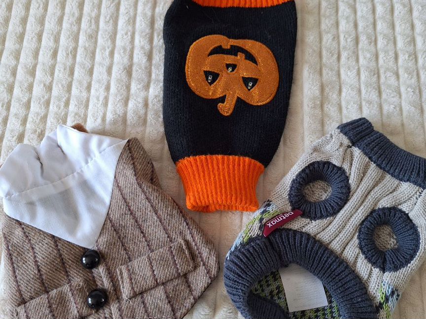 Одежда для маленьких собак