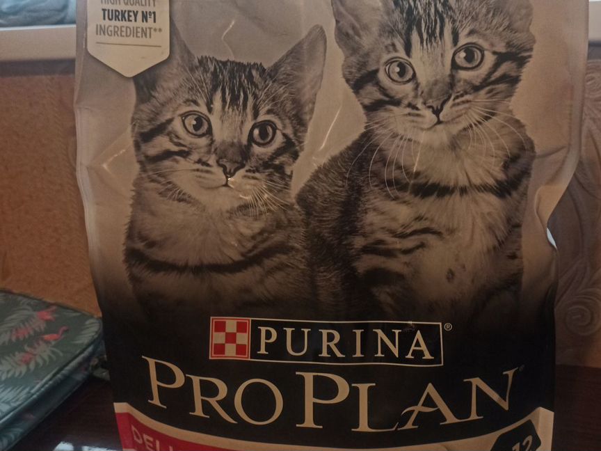 Корм для котят проплан