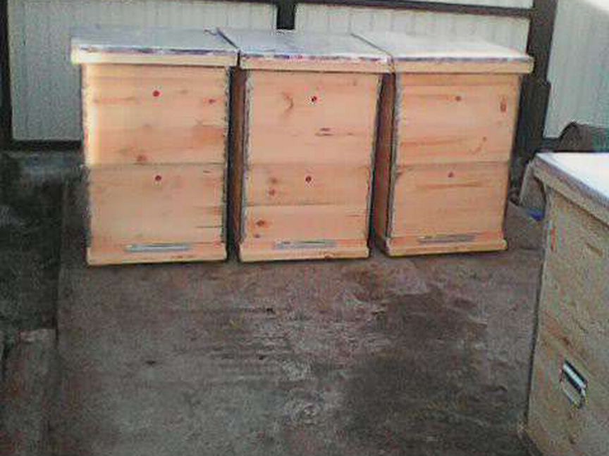 Ульи двухкорпусные новые дадановские