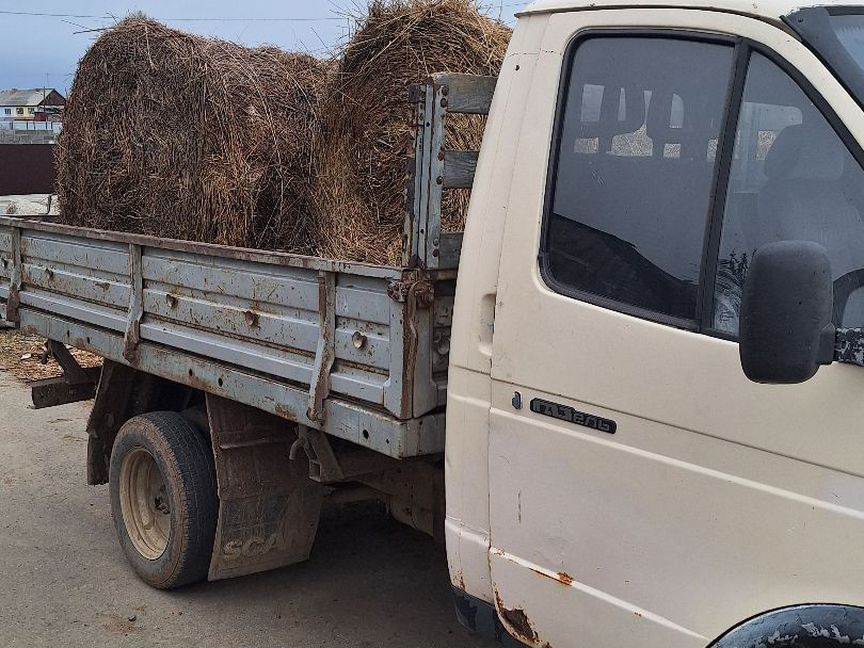 Сено,клевер,козлятник в тюках