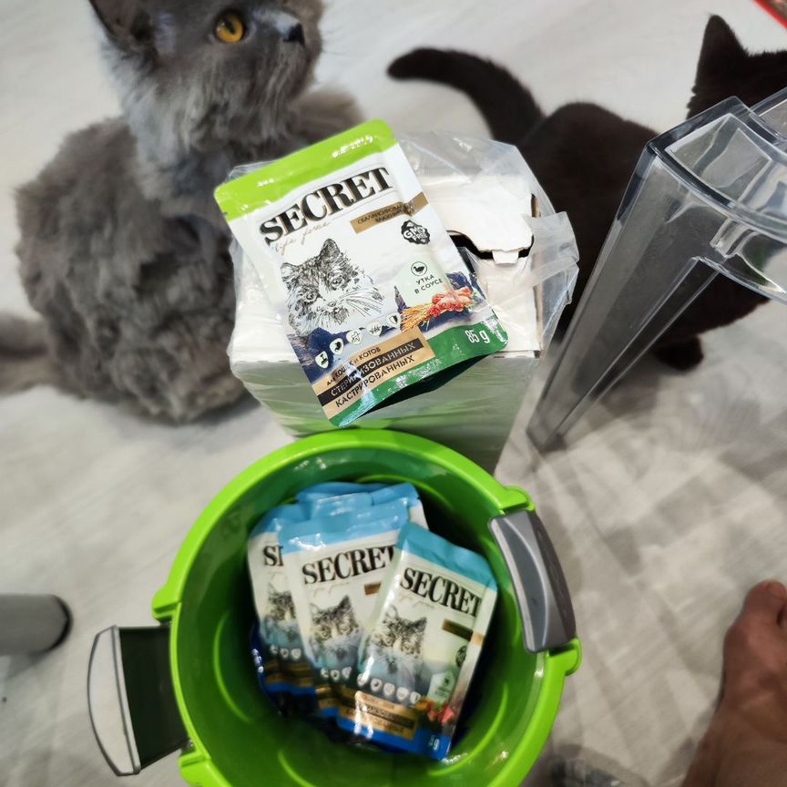 Влажный корм для кошек Секрет