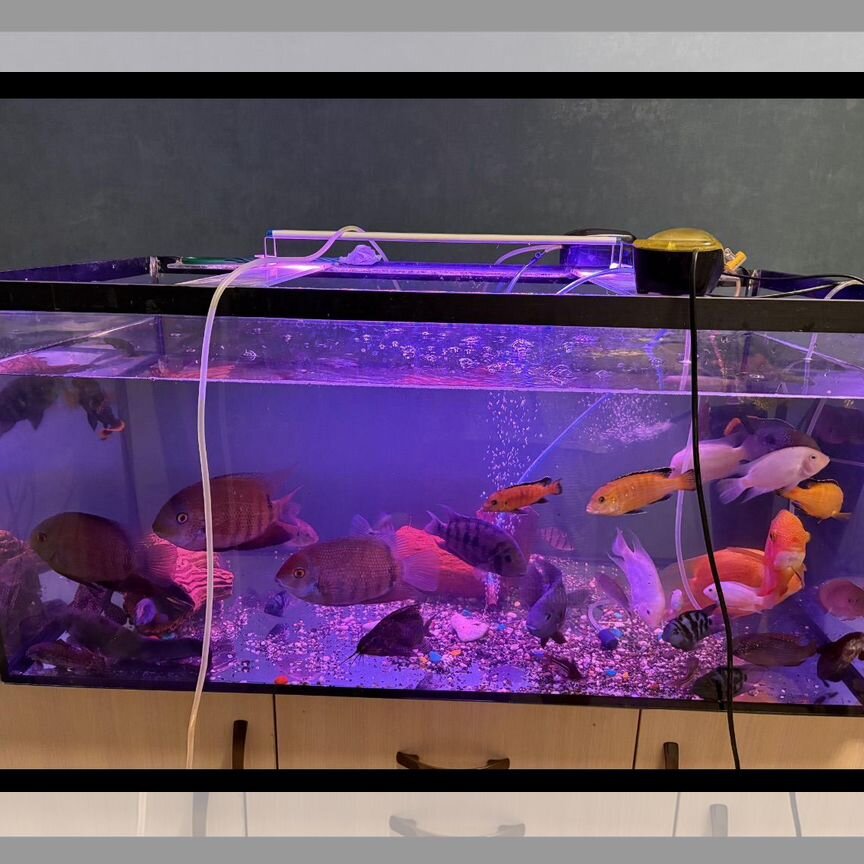 Аквариум с тумбой