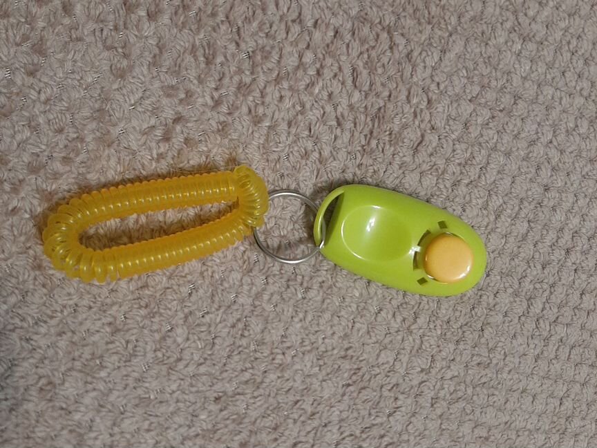 Кликер для дрессировки собак