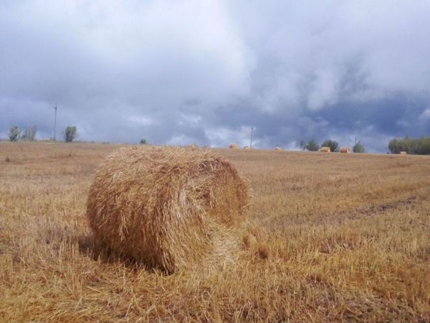 Солома в рулонах