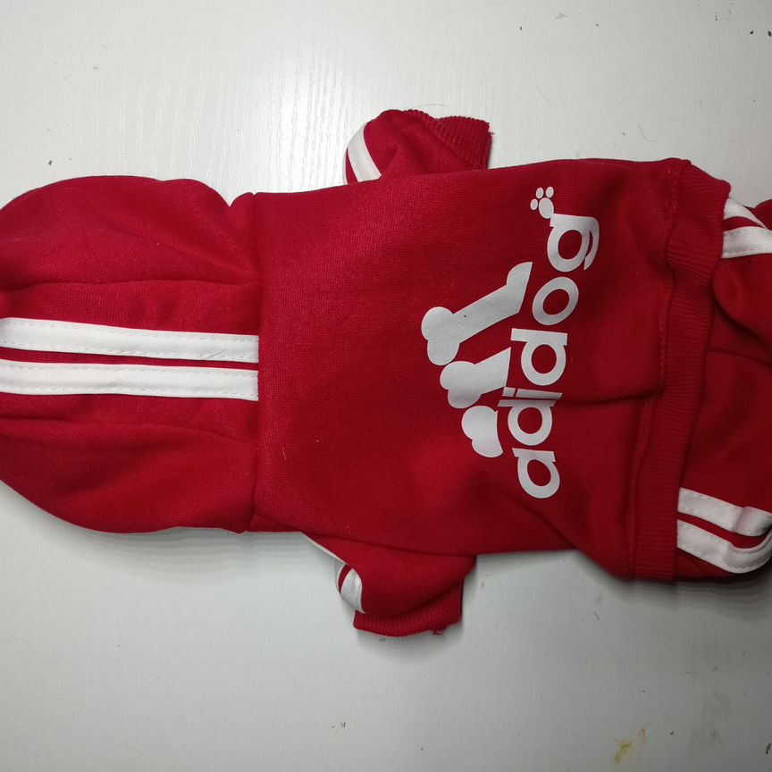 Костюм для маленьких собак и кошек