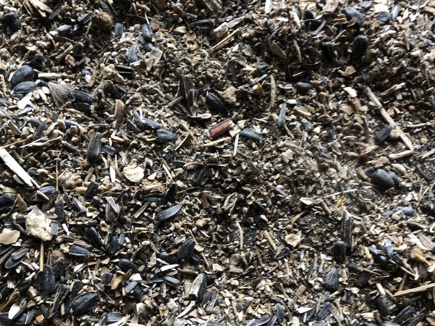 Отходы подсолнечника