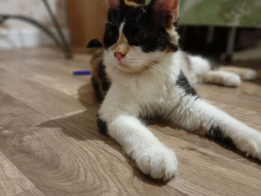 Дуся дочка Муси)