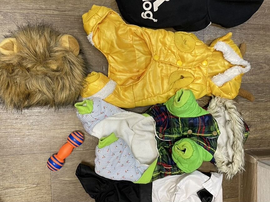 Вещи на собаку