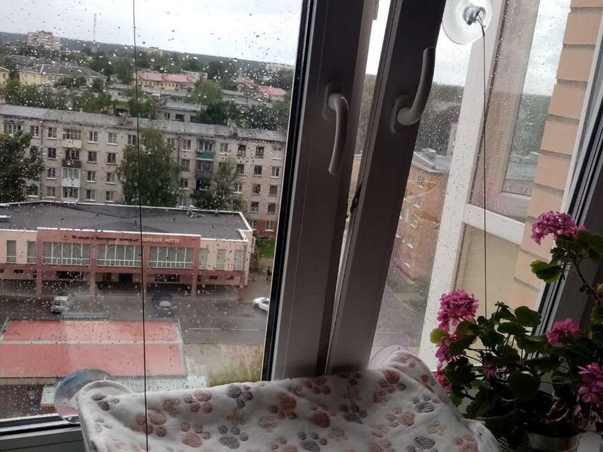 Лежак для кота