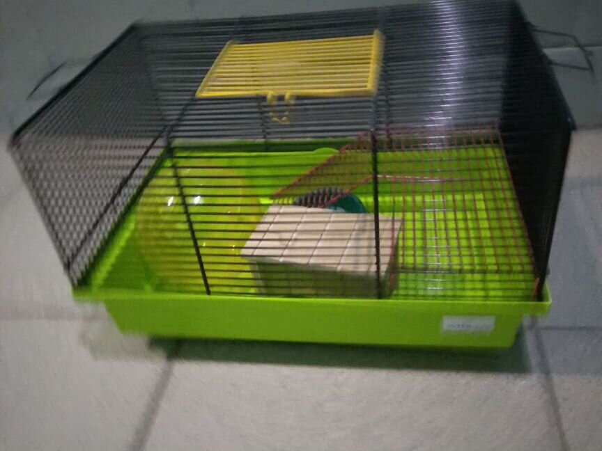 Все товары для животных